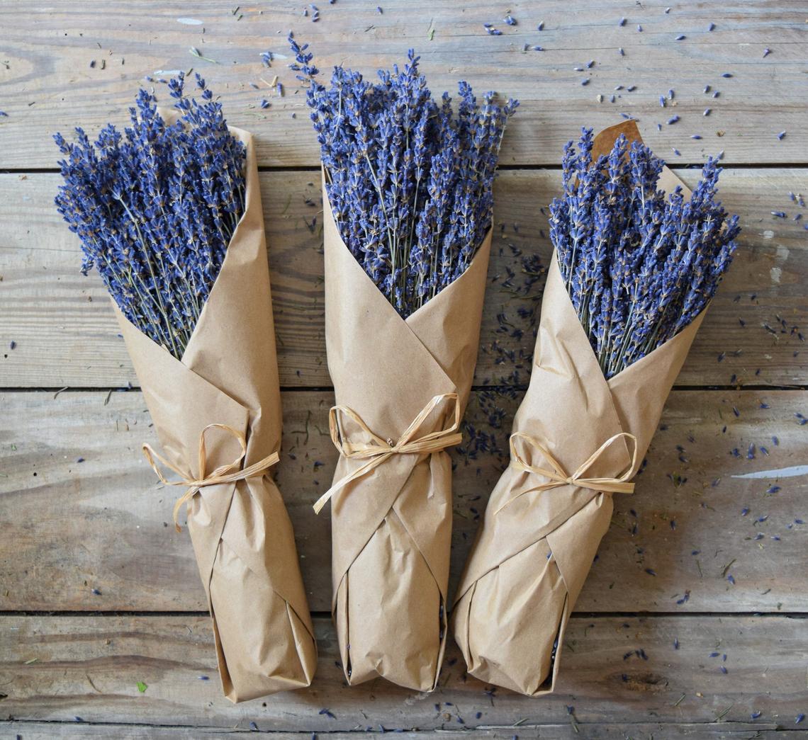 Dried Lavender Bunches: Uses, Benefits & Gifts | Nustad Family Ranch